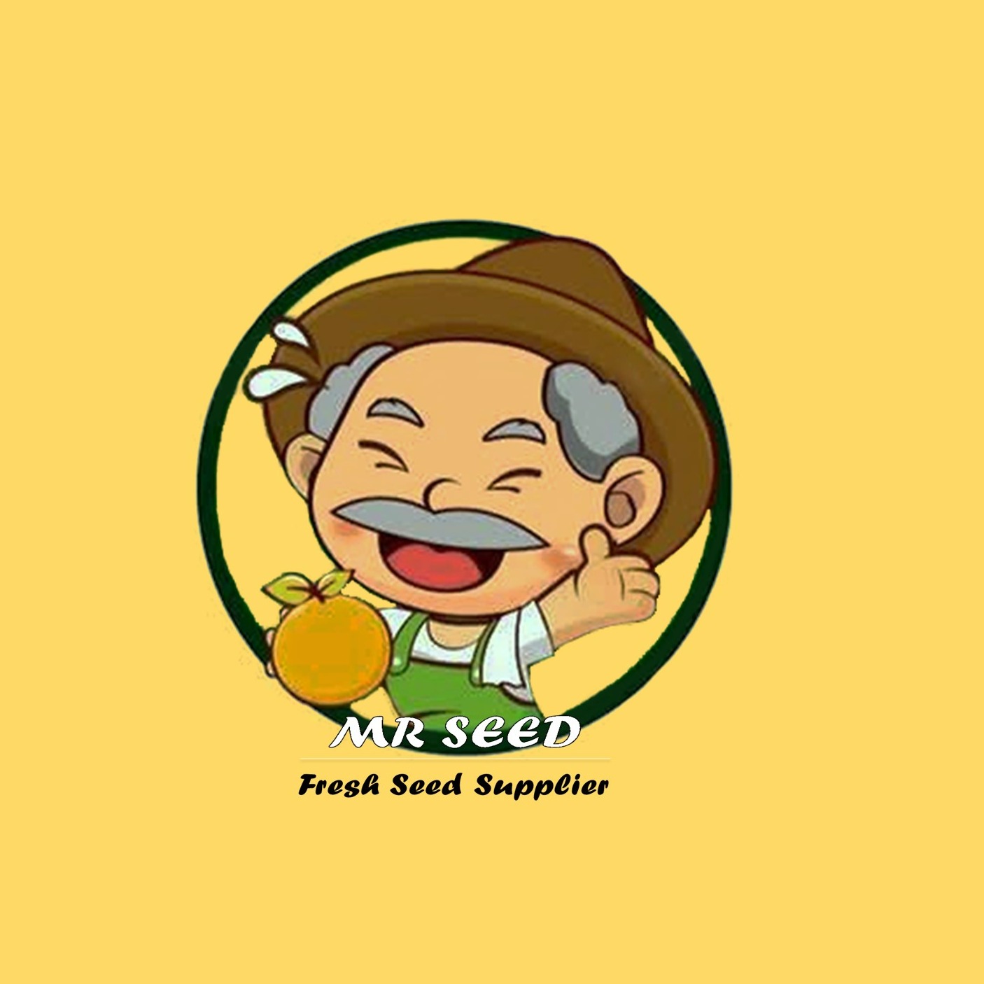 Shop online with MR SEED now! Visit MR SEED on Lazada.