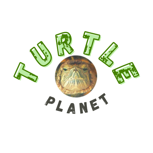 Turtle Planet Malaysia Official Online Store | Shop Now on Lazada