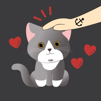 DD CAT & PET MALAYSIA Official Store in Malaysia, Online Shop 03 2025