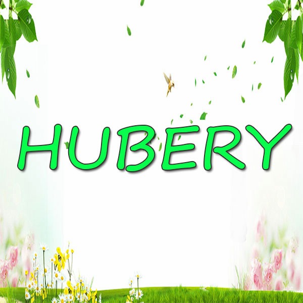 Hubery Official Store in Malaysia, Online Shop 05 2025