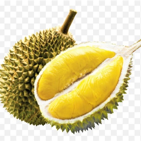 MKBH Shop Official Store in Malaysia, Online Shop 05 2025