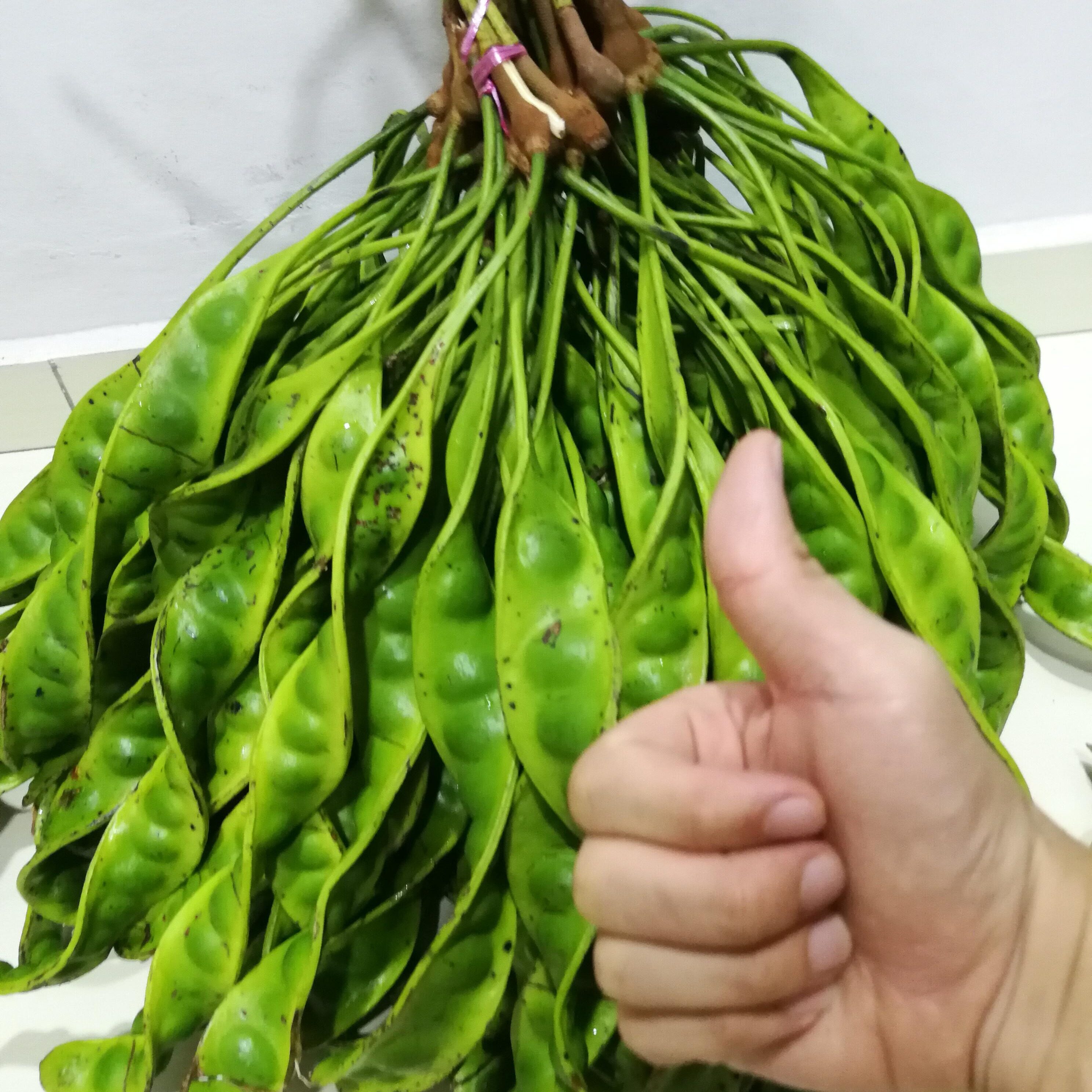 Petai Padi Vacuum Packed Official Store in Malaysia, Online Shop 04 2025