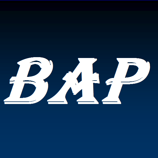BAP AUTO PARTS Malaysia Official Online Store | Shop Now on Lazada