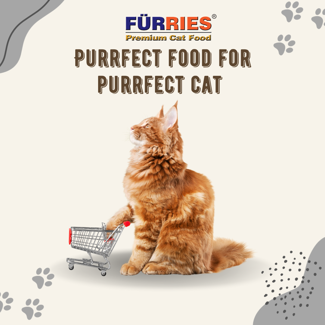 Shop online with FURRIES PREMIUM CAT FOOD now! Visit FURRIES PREMIUM ...