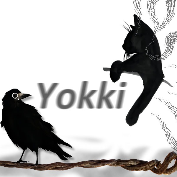 Yokki Official Store in Malaysia, Online Shop 03 2025