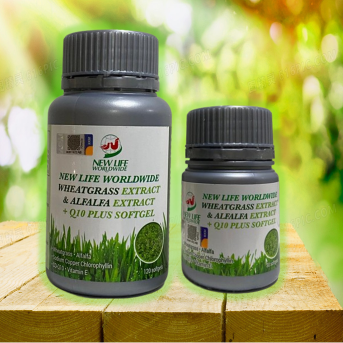 Newlife Authorize Wholesaler Malaysia Official Online Store | Shop Now ...