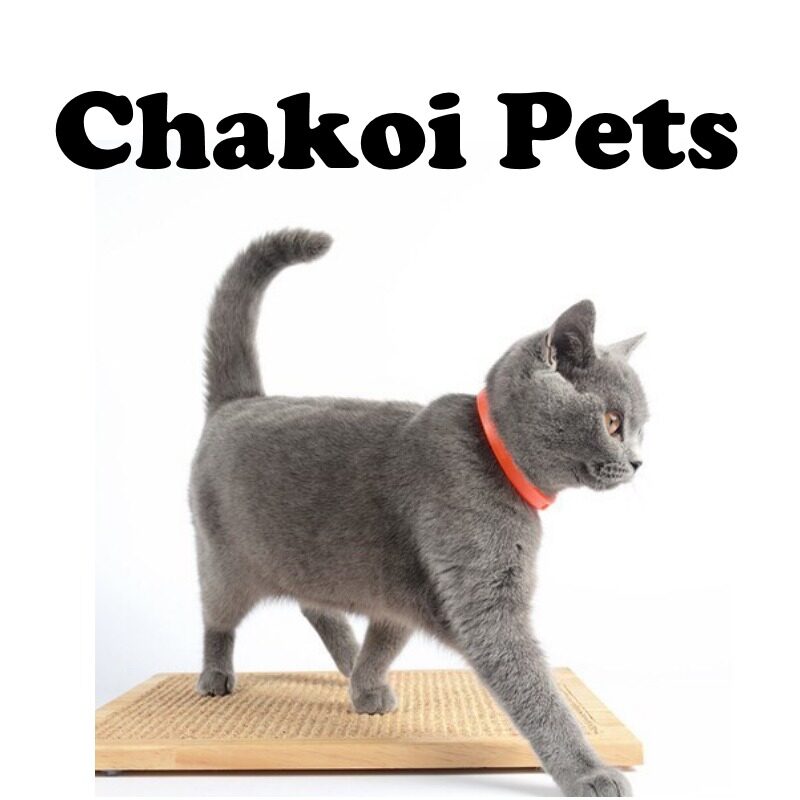 Chakoi Pet Shop Official Store in Malaysia, Online Shop 09 2024