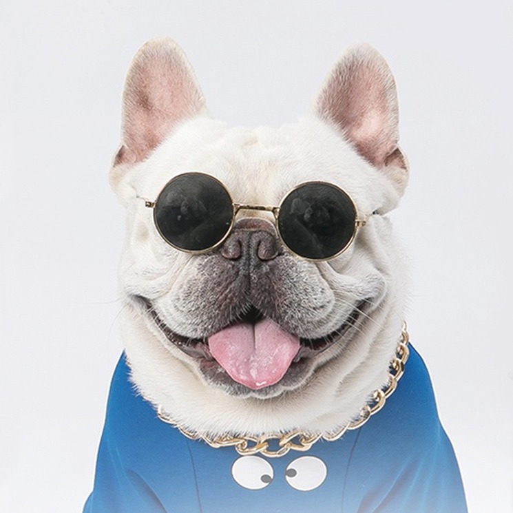 Pets Happy Life Home Official Store in Malaysia, Online Shop 01 2025