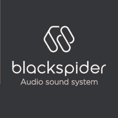 Black Spider