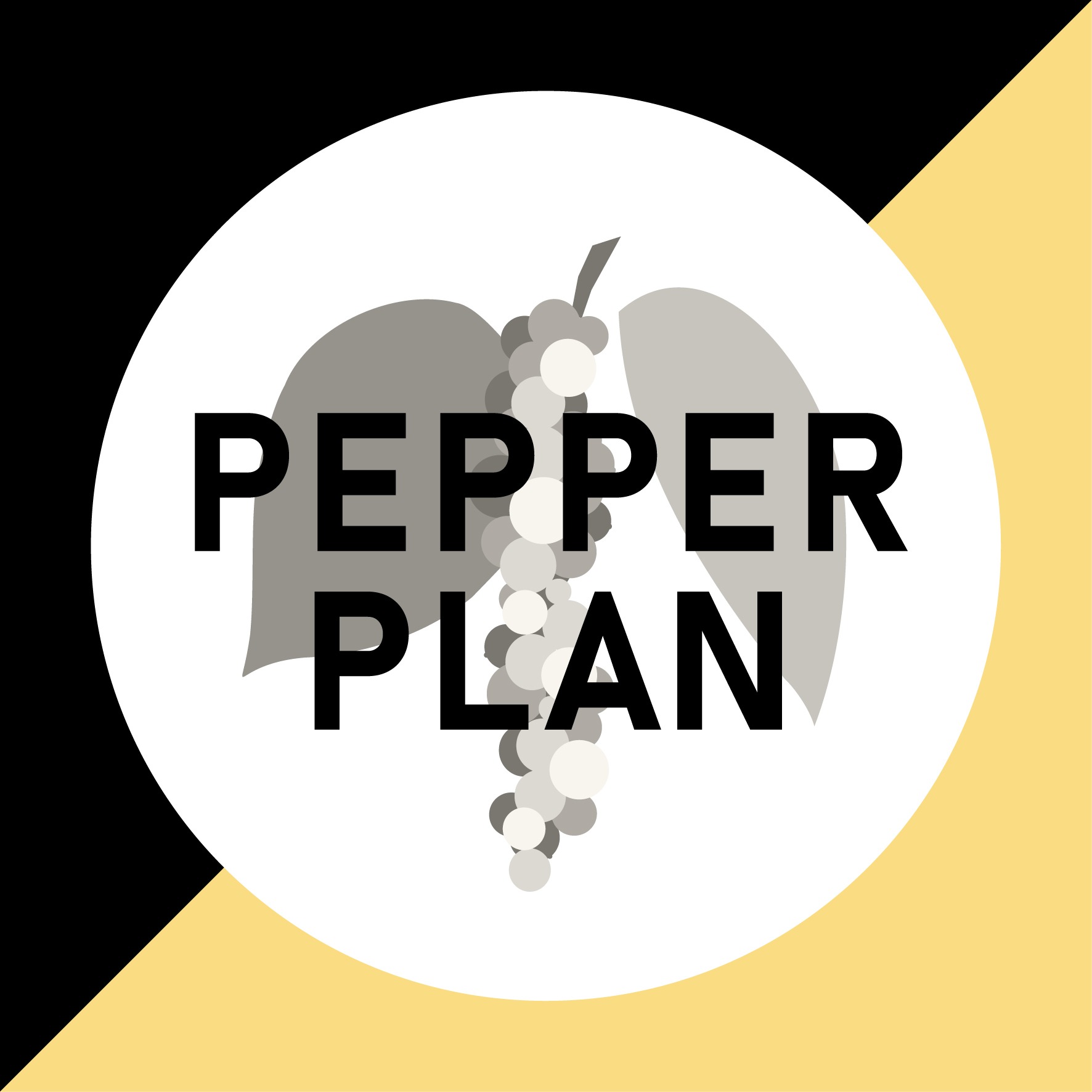 Pepper Plan Malaysia Official Online Store | Shop Now on Lazada