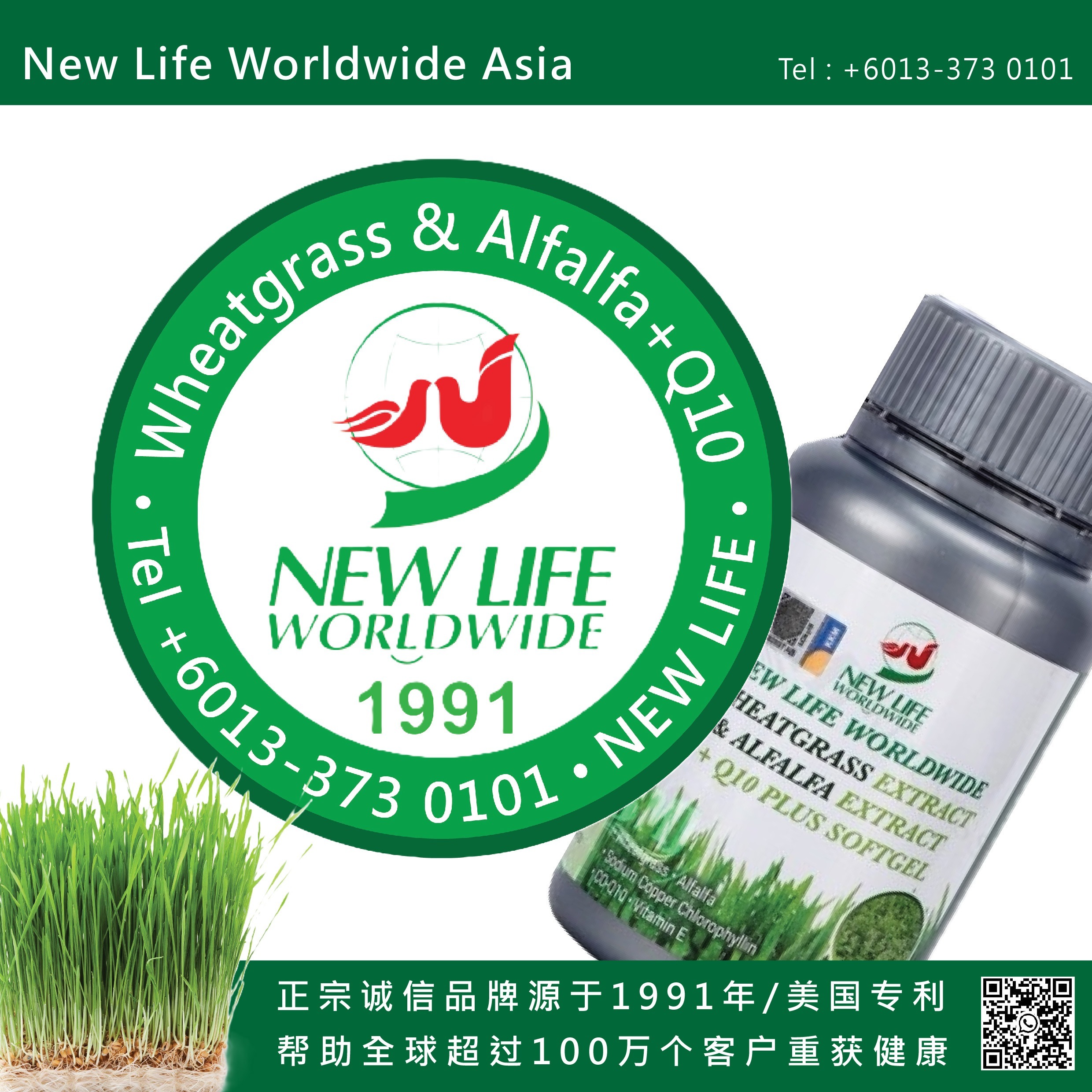 New Life Worldwide Asia Malaysia Official Online Store | Shop Now on Lazada
