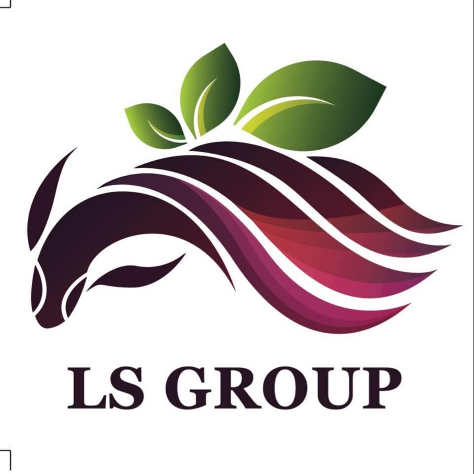 LS group Malaysia Official Online Store | Shop Now on Lazada