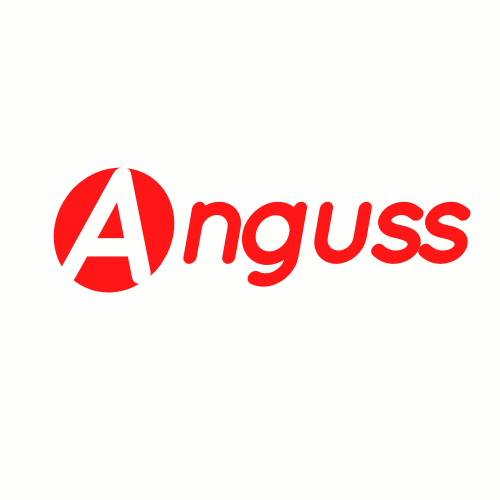 Anguss Official Store in Malaysia, Online Shop 02 2025