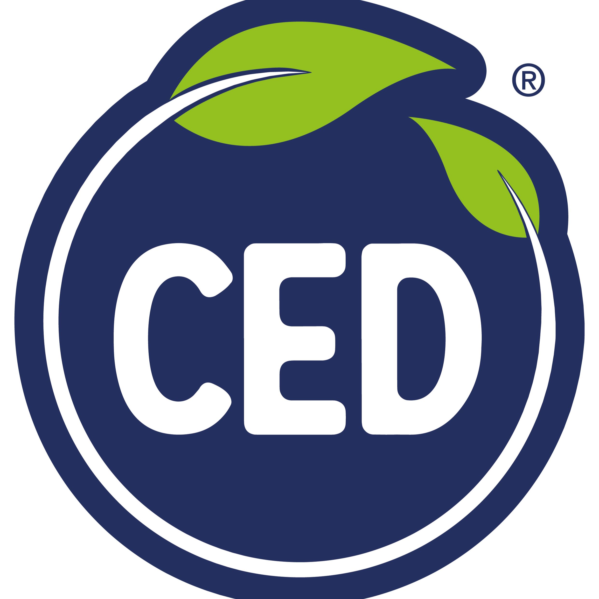 SCC Marketplace Official Store in Malaysia, Online Shop 01 2025